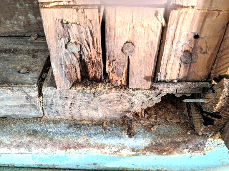 Repairing rotted bottom plate and heels of triple studs | DIY Home ...
