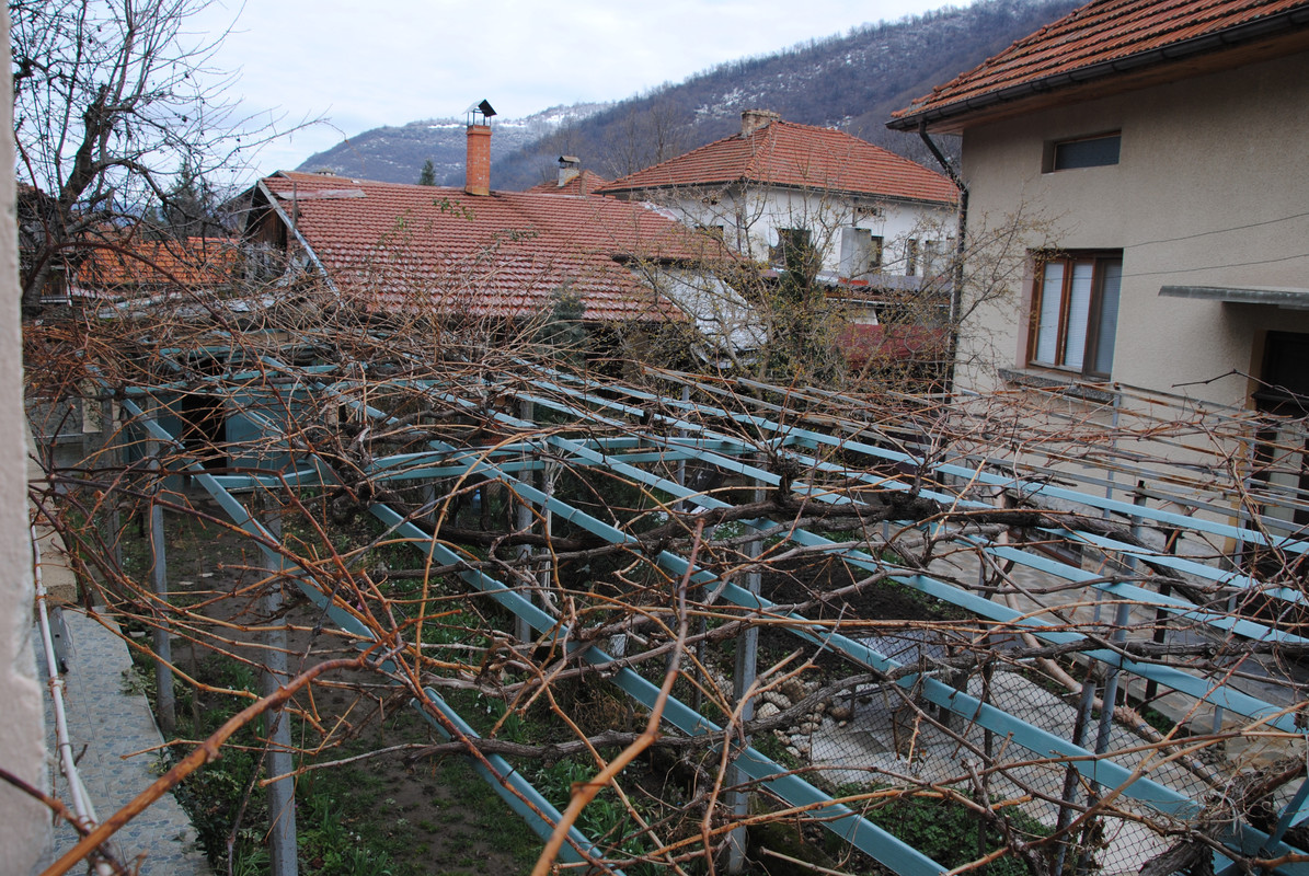 DSC 0176 — Postimages