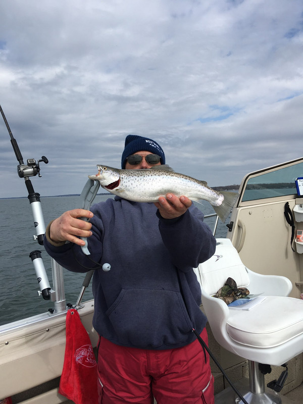 IMG 4586 — Postimages