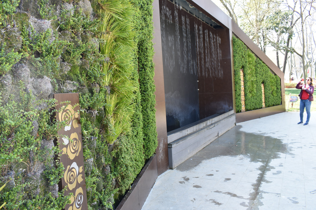 DSC 0016 — Postimages