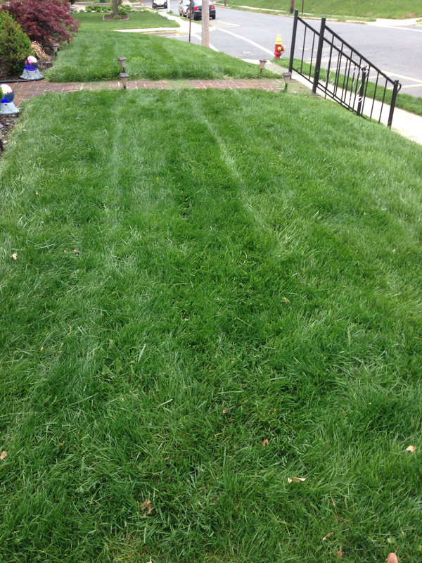 after 2 — Postimages