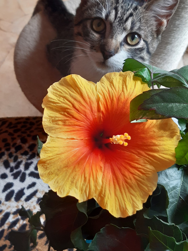 20201021 123359 — Postimages