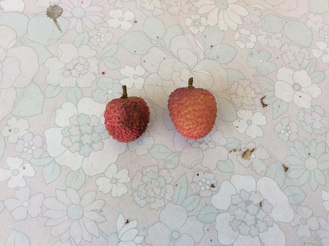 1710410 B 42 DD 428 D B8 A0 4854 A76 BBBBB — Postimages