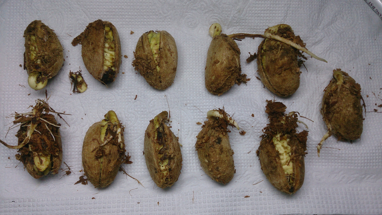 DSC 0109 — Postimages