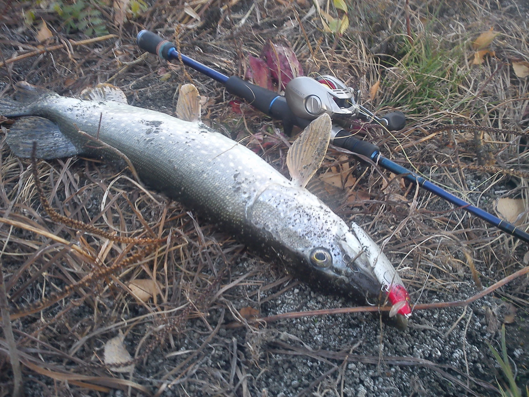 DSC00003 — Postimages