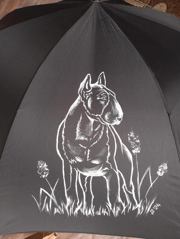 ef09d080 49ed 42b0 8e13 9aaa4f82c5e2 — Postimages