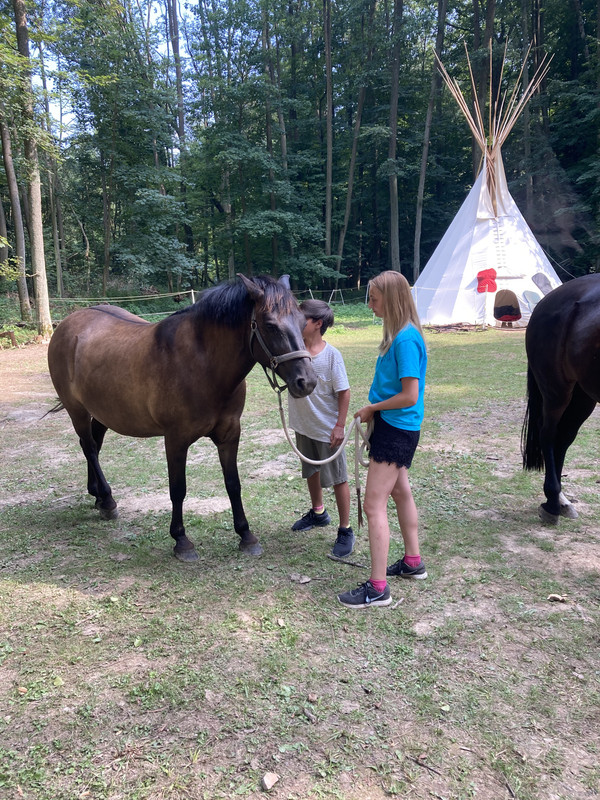 IMG 0206 — Postimages