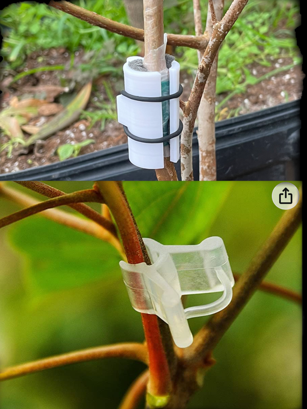 74 CB5 F82 67 FA 4 BDB B198 2 E995 F7238 A2 — Postimages