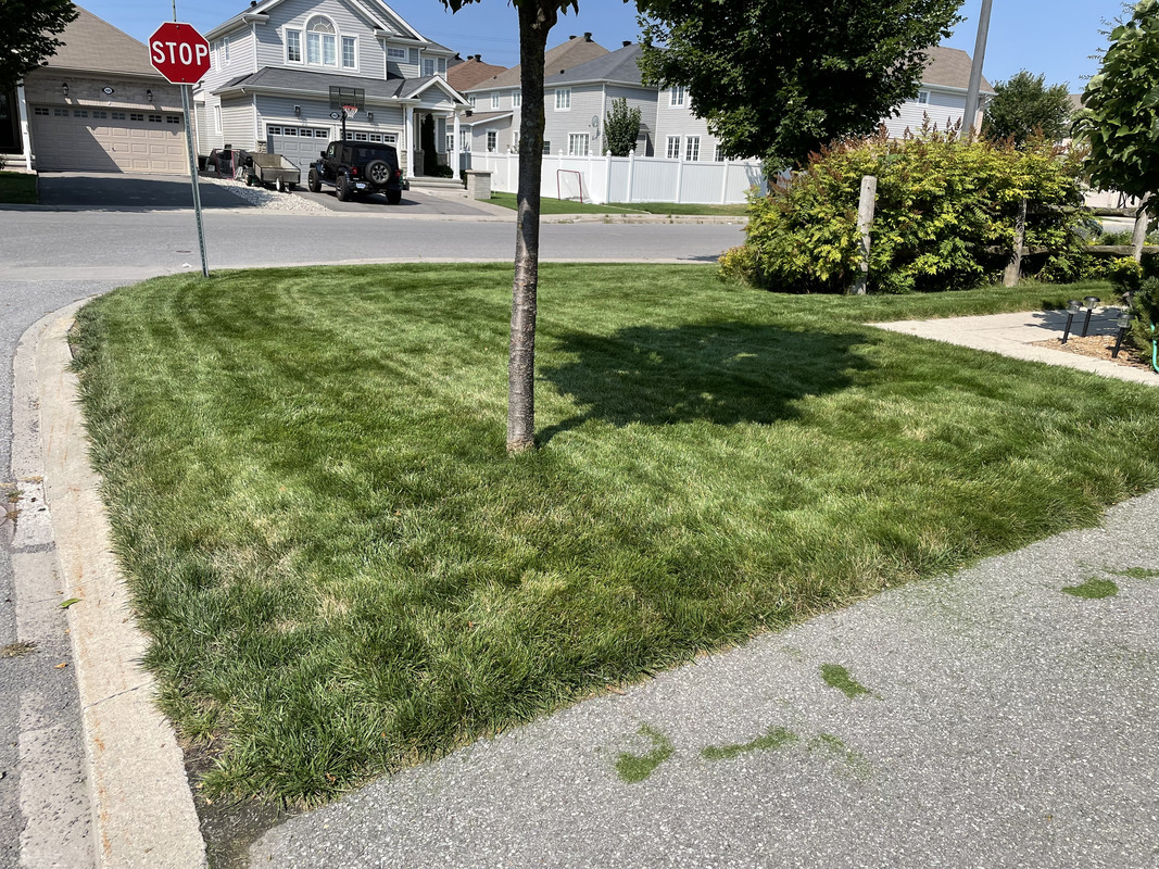 3393 C9 AD 334 B 410 E 8 DA8 019 AF4 D6 D33 E — Postimages