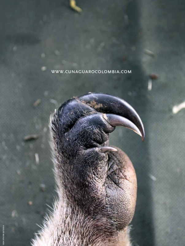 Screenshot 20231110 160413 Drive — Postimages