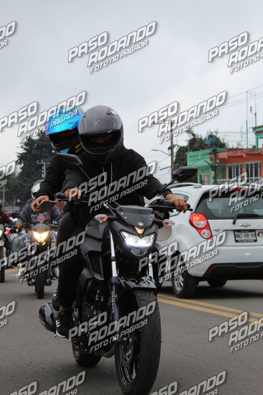 IMG 0006 wm 7345427 100000001 watermarked — Postimages