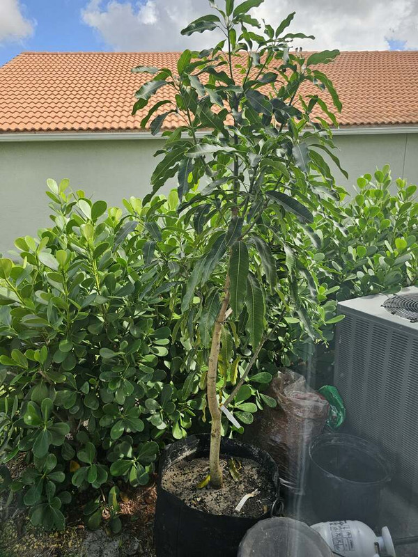 imagejpeg 0 — Postimages