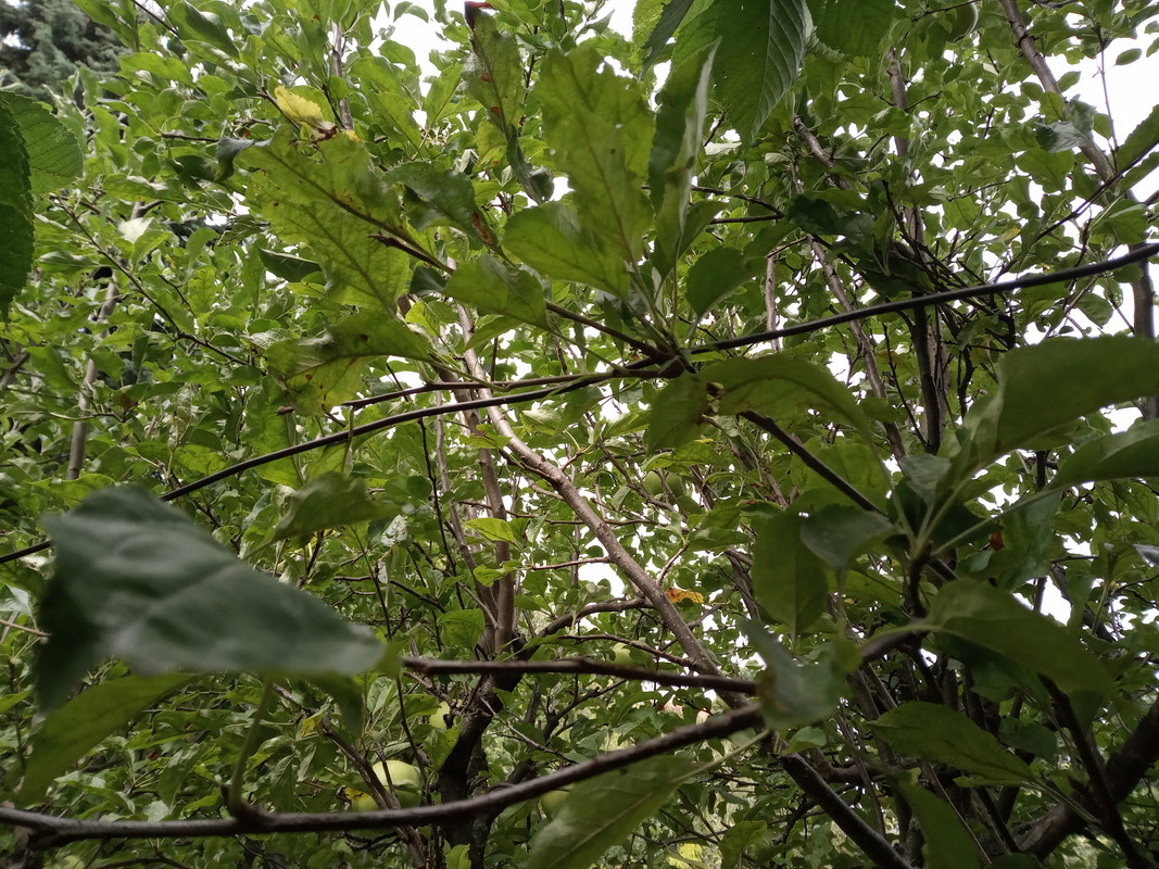 IMG 20240805 110255 524 — Postimages