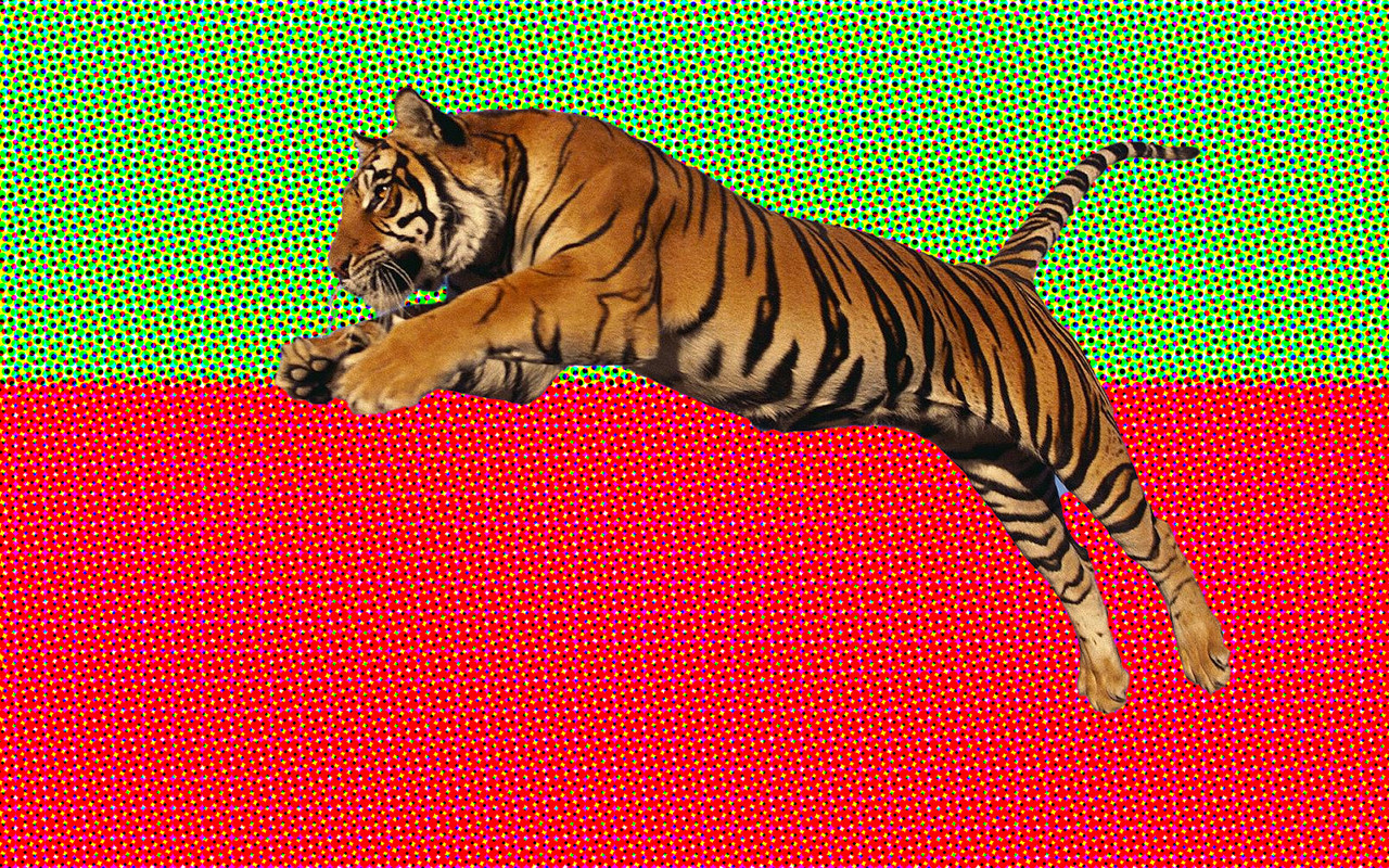 tiger — Postimages