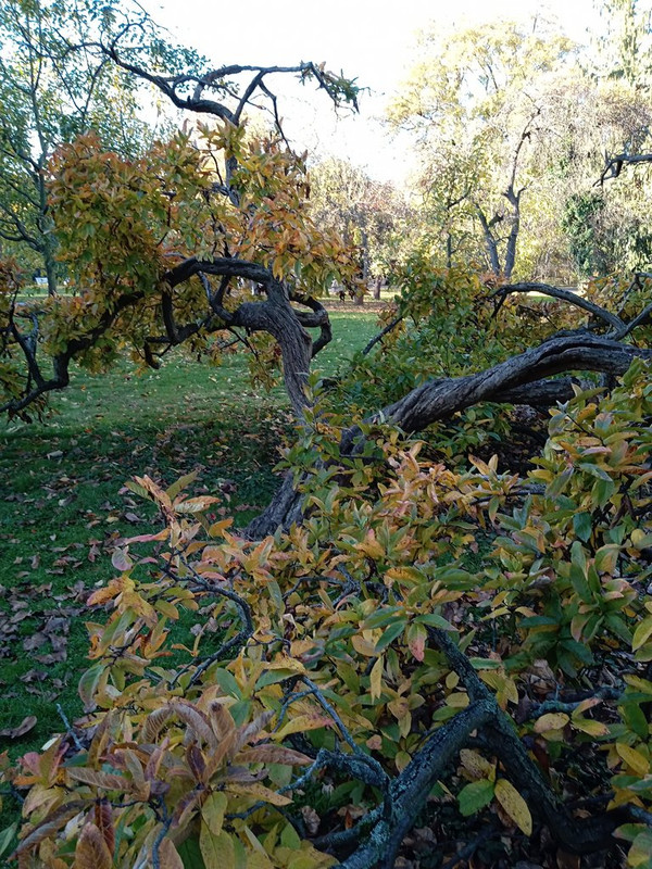 IMG 20231107 083835690 — Postimages