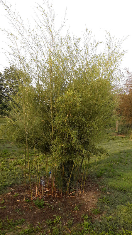 20240606 073524 — Postimages