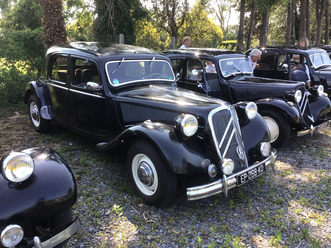 IMG 1855 — Postimages