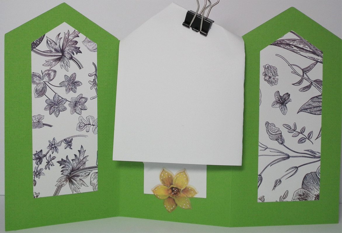 2b April from BL Spring Flowers — Postimages