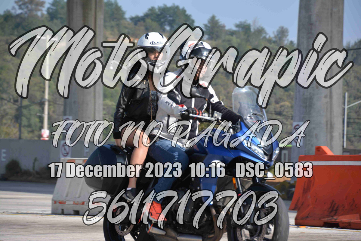 motgr DSC 0583 — Postimages