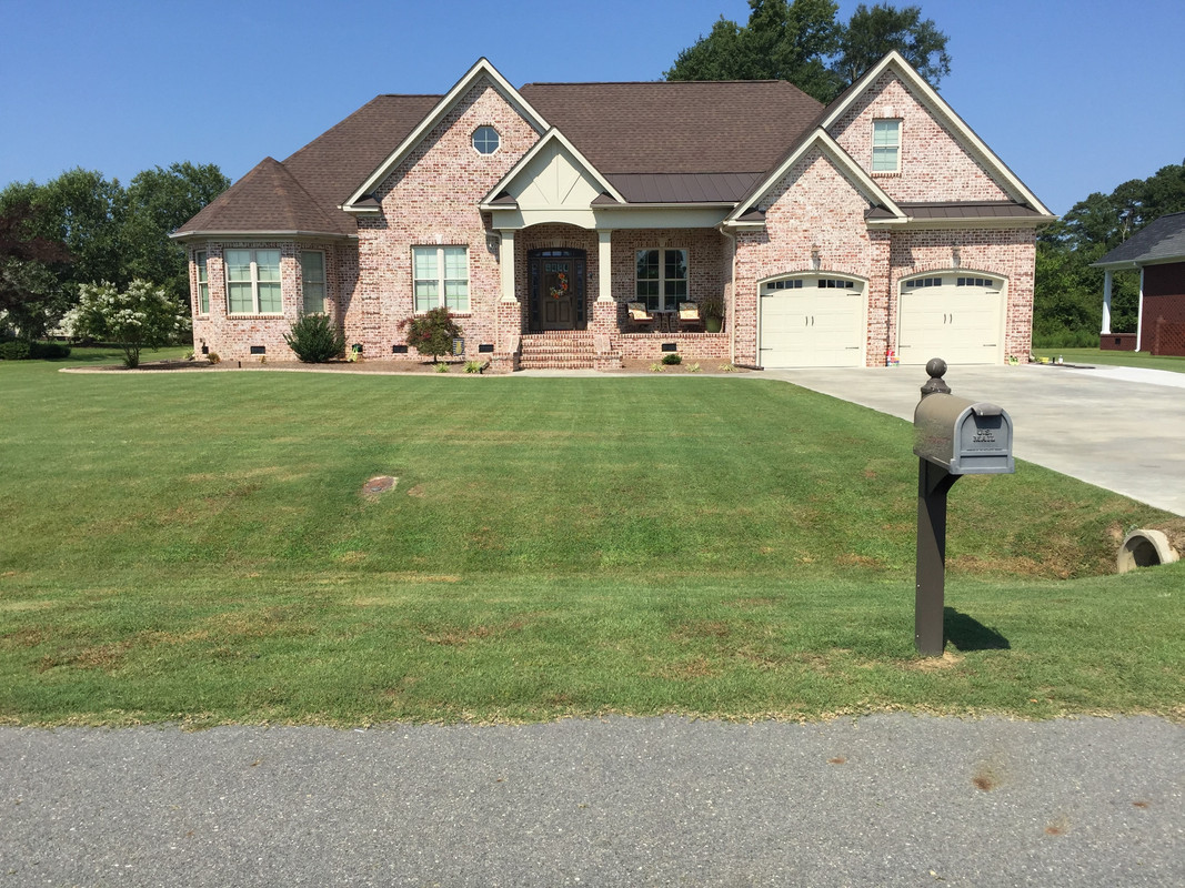 Princess 77 Bermuda Lawn Renovation. | Page 6 | Lawn Care Forum