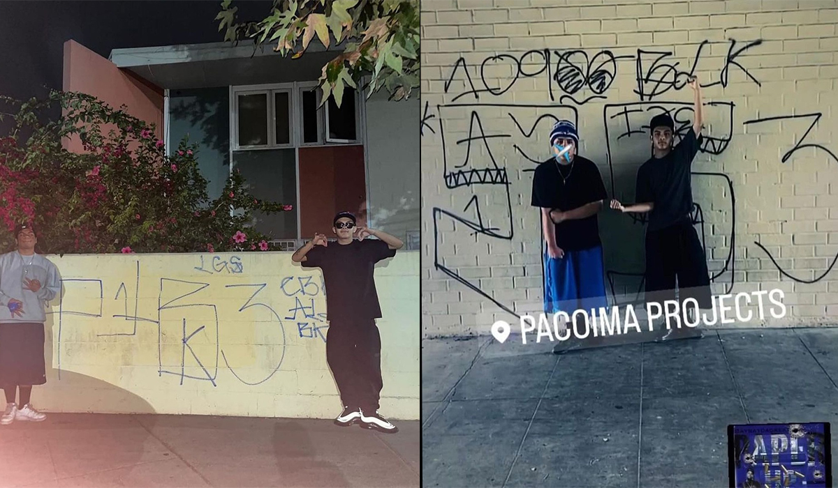 Pacoima Projects Boys 13 - Объединения - Trinity GTA
