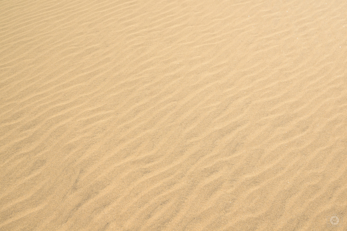 Sand Texture 1192 — Postimages