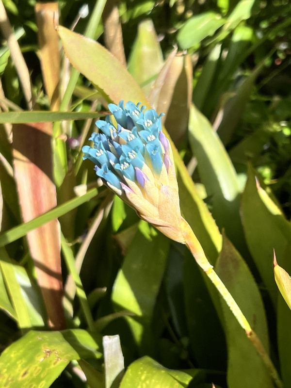 IMG 5589 — Postimages