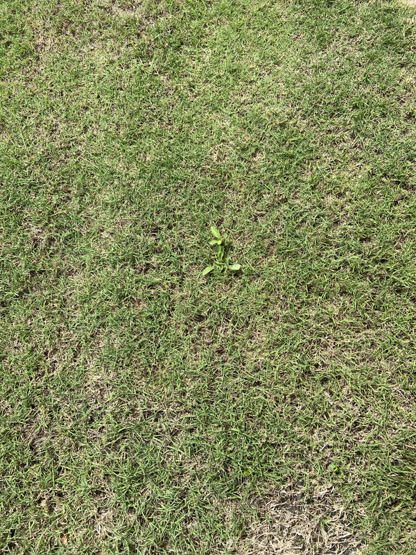 A5134 EA8 9 C84 4477 AA47 AB0 A0931 BB64 — Postimages