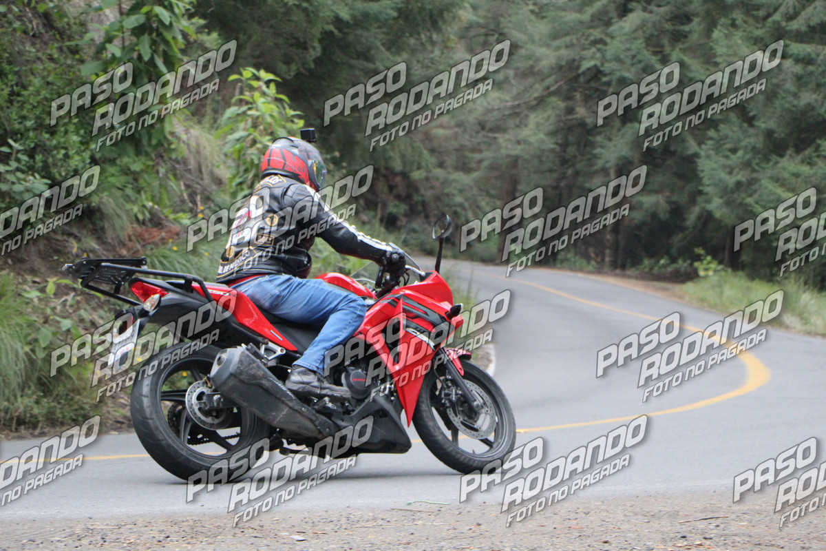 IMG 8985 wm 761162 7999999989 watermarked — Postimages