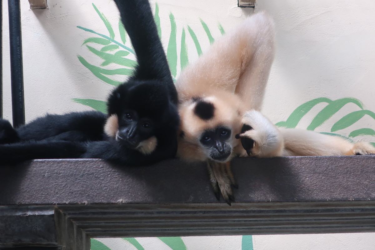 IMG 3484 — Postimages