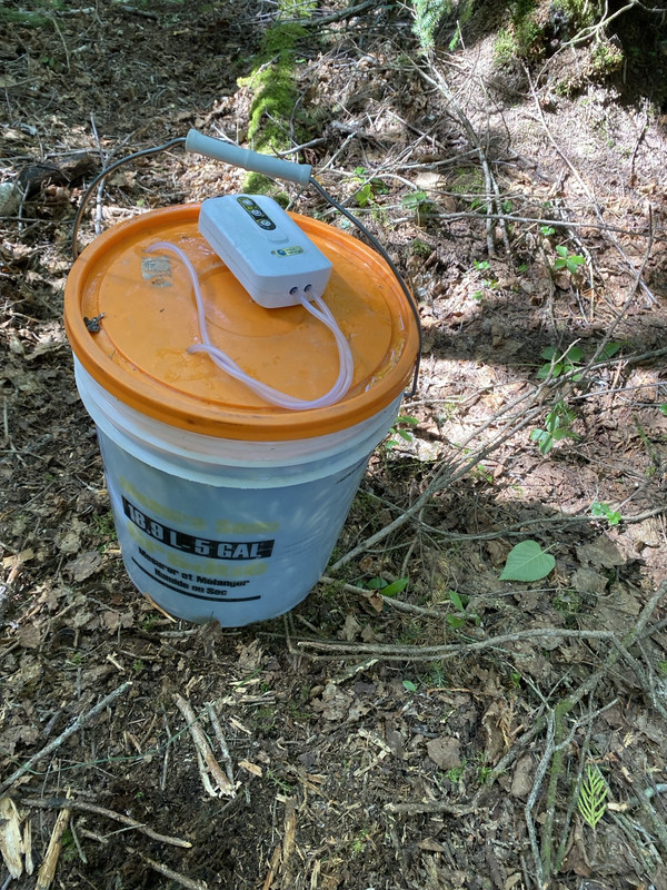 Canadian Trappers Talk Forum • View topic - Been a busy Summer