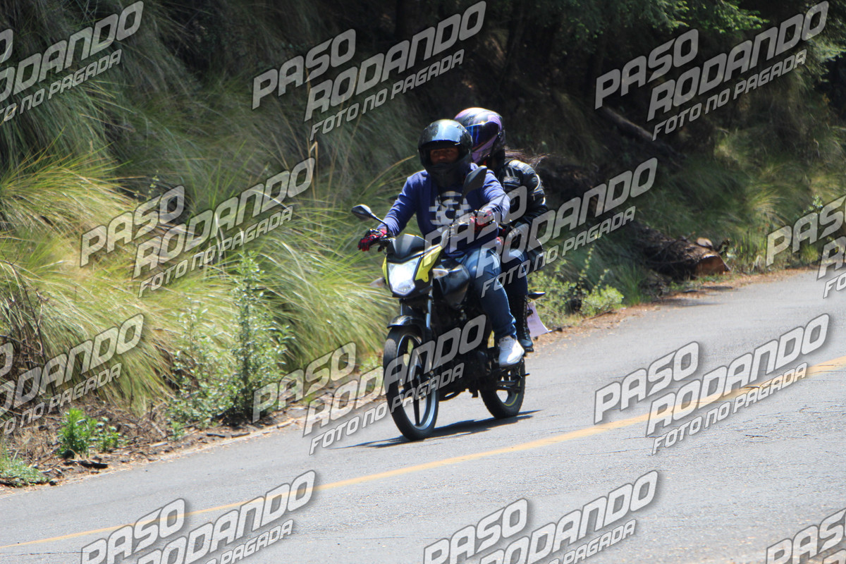 IMG 7617 wm 468501 19999999995 watermarked — Postimages