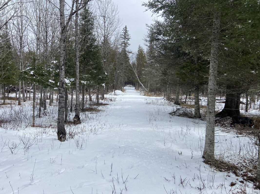 IMG 4065 — Postimages