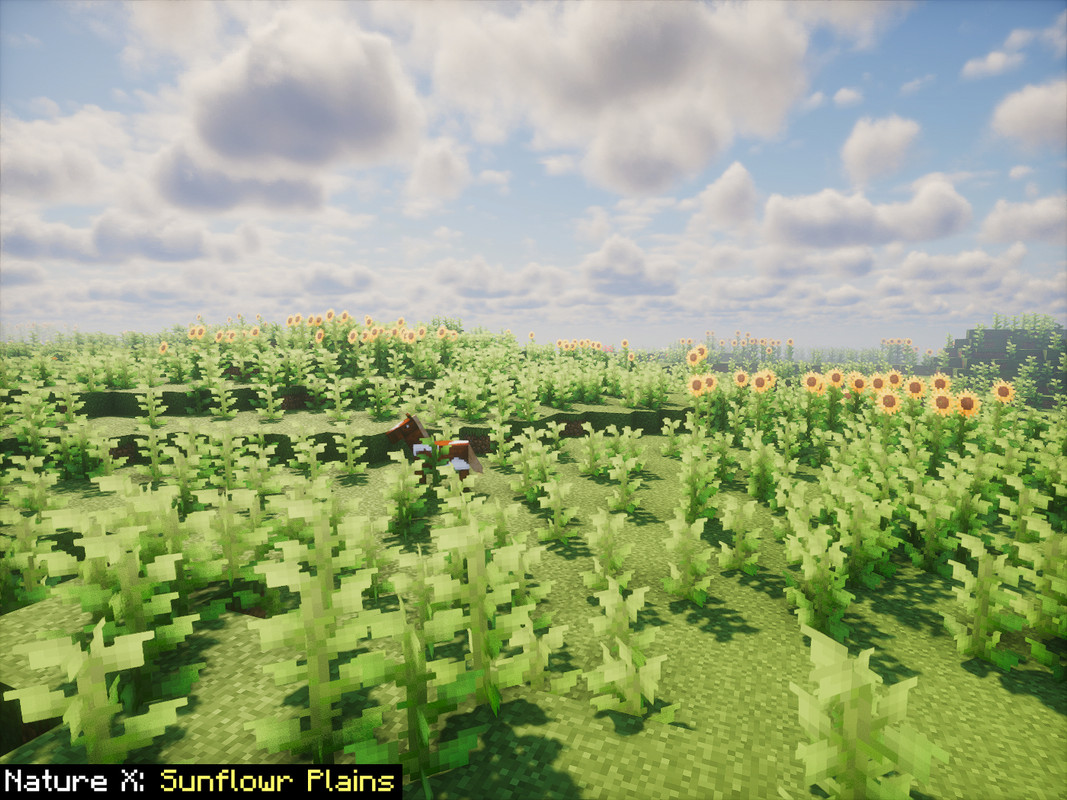 Nature X - Minecraft Resource Packs - CurseForge