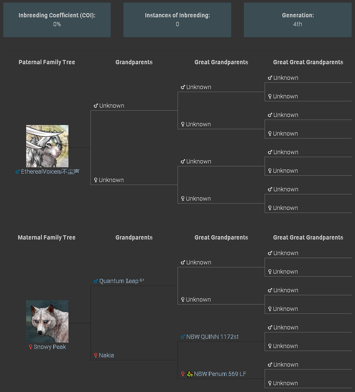 𝐸𝓇𝑒𝓃ᴺᴮᵂ |:| Wolvden