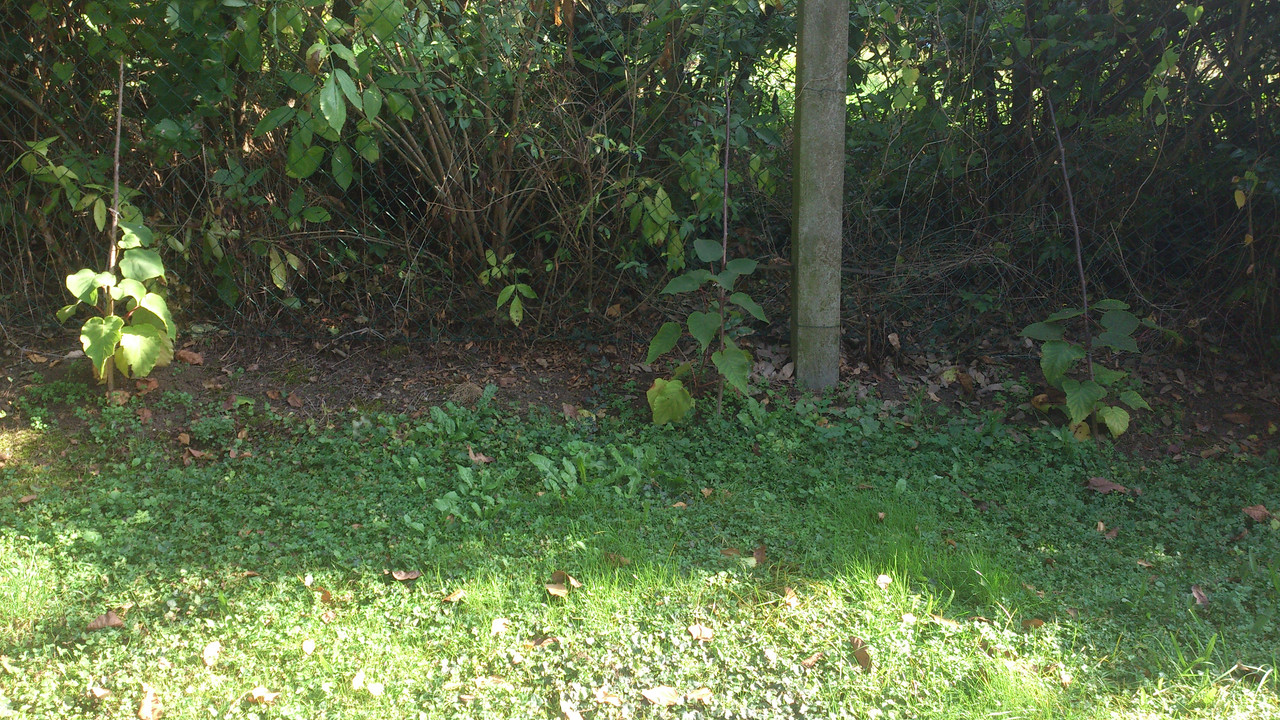 DSC 5934 — Postimages