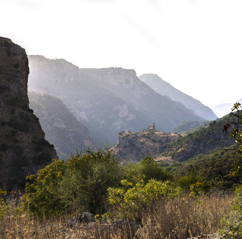 MG 1704 foro — Postimages