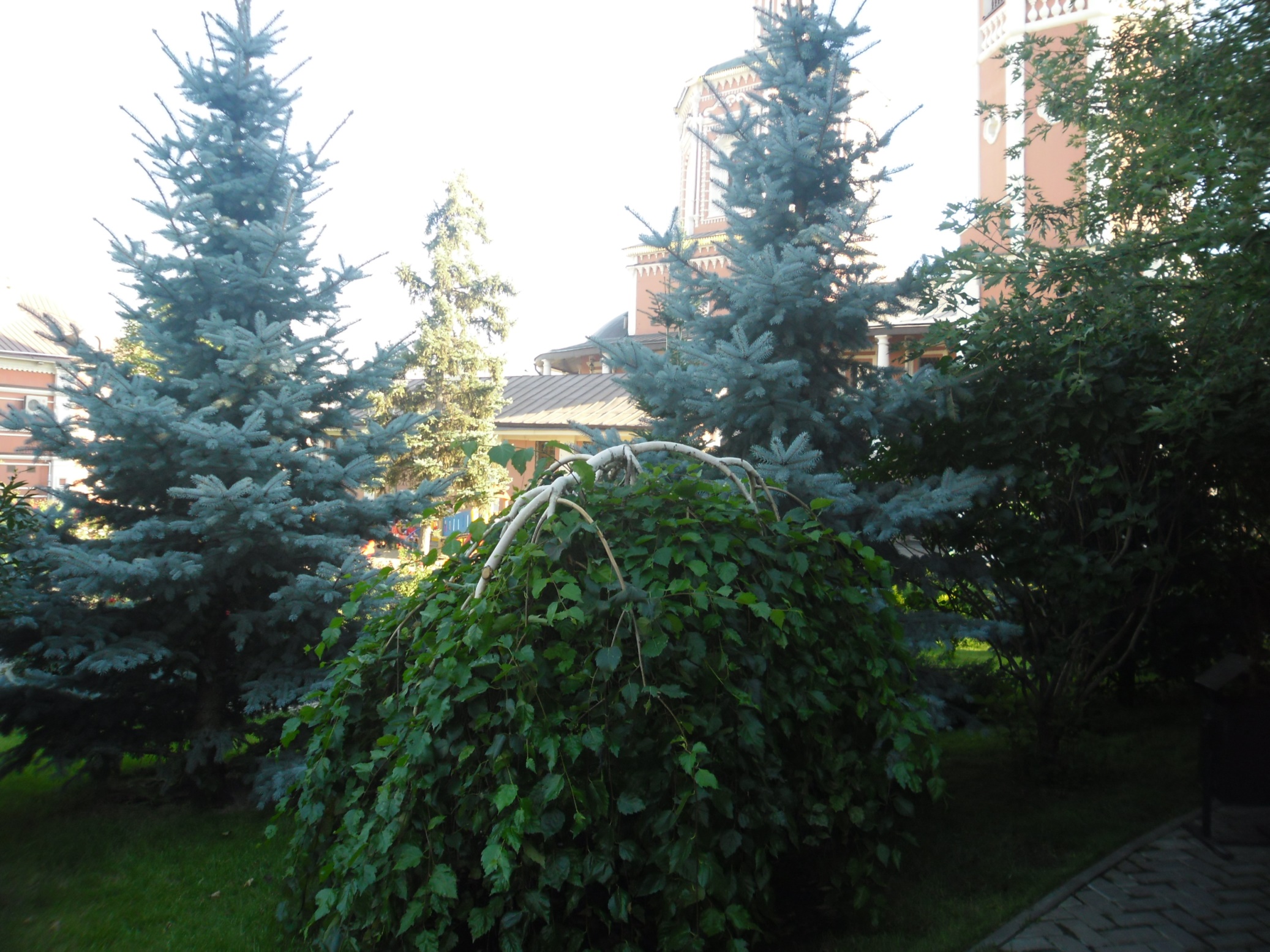 SAM 9720 — Postimages