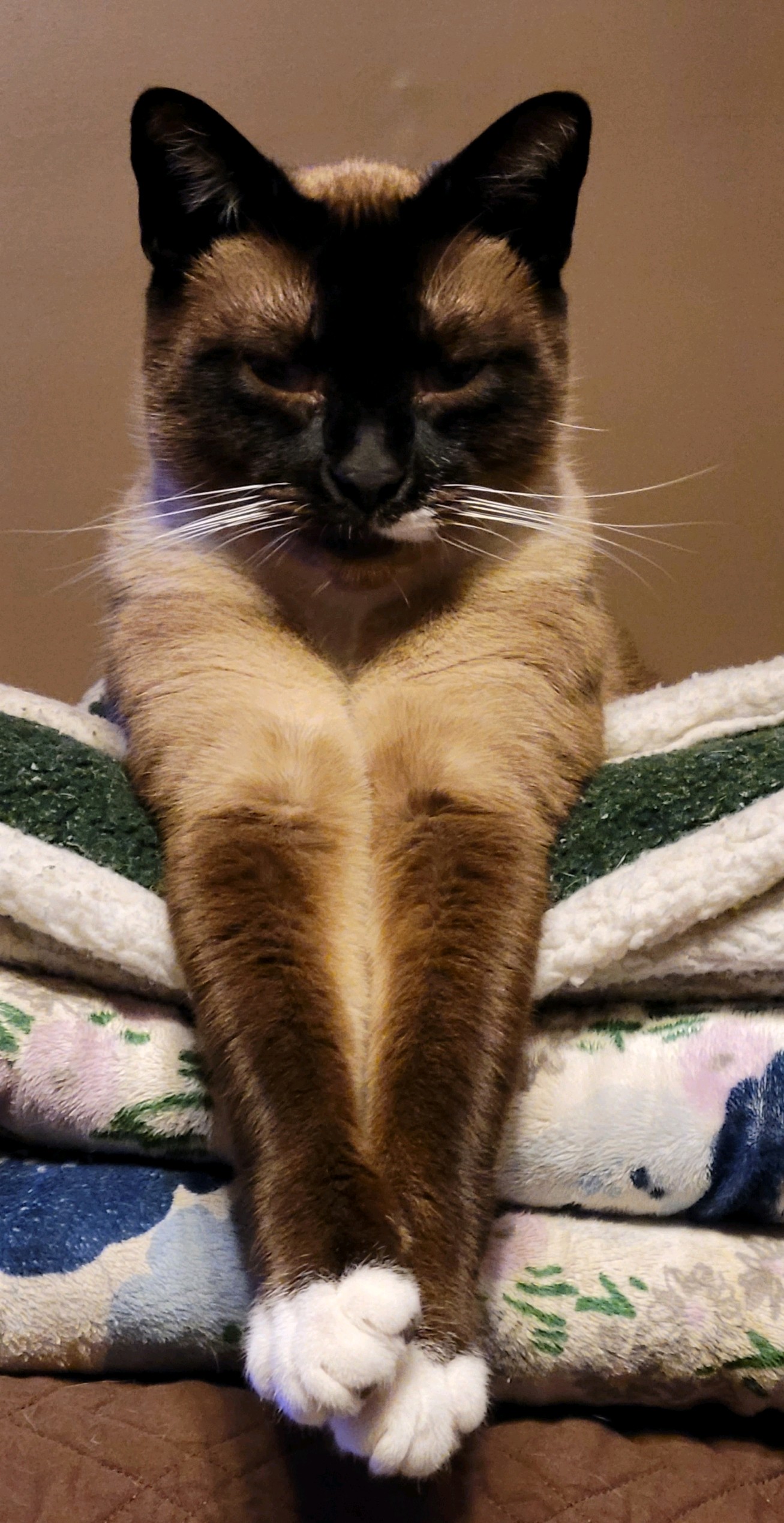 output image1673278338509 — Postimages