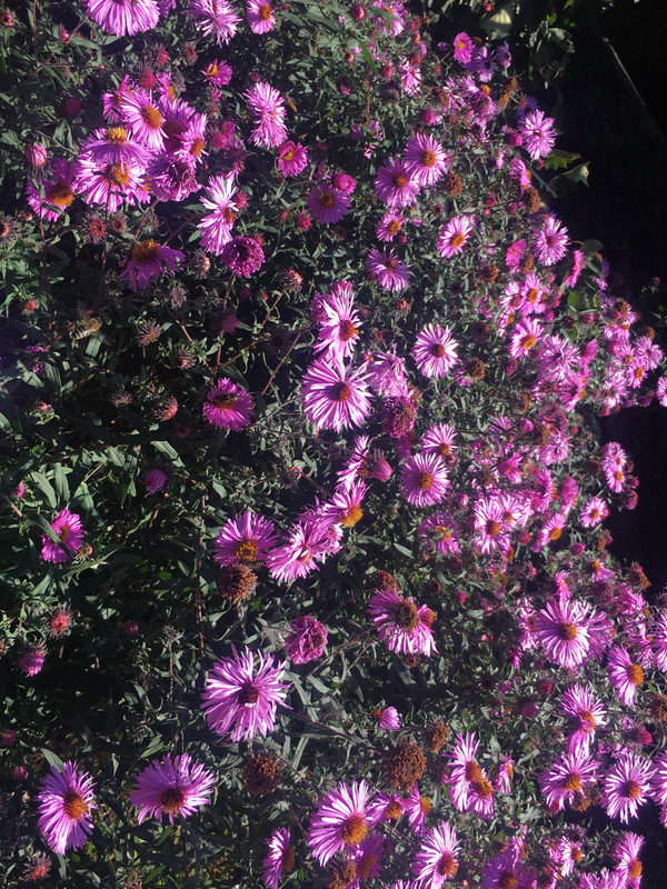 5627 BC79 8 F4 F 4 F80 AD20 E3 A2 D2 E019 AE — Postimages