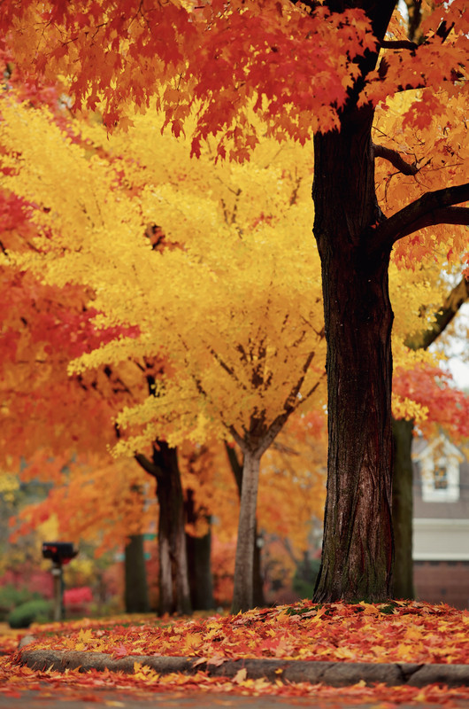 IMG 7950 — Postimages