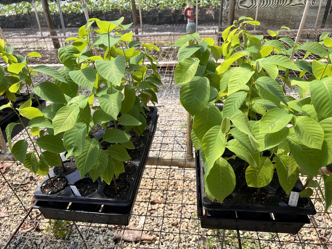 IMG 3344 — Postimages