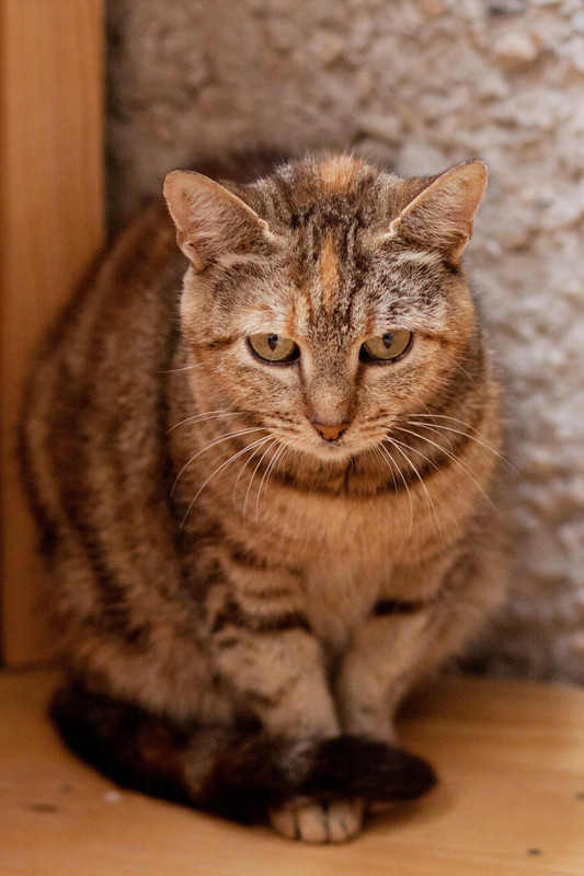 CJXac8 Ob BVc — Postimages