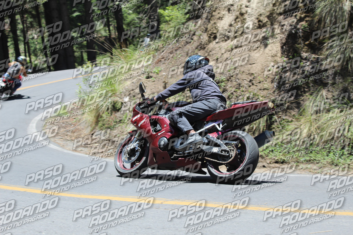 Album — Postimages