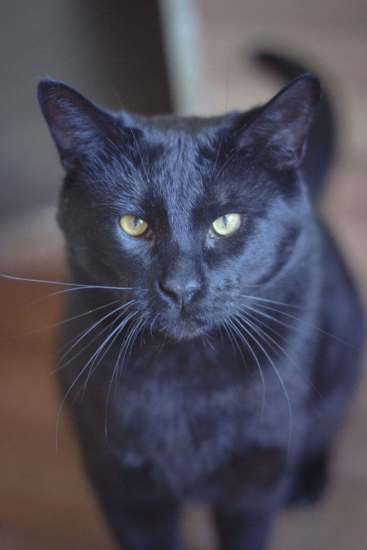 DSC02836 — Postimages