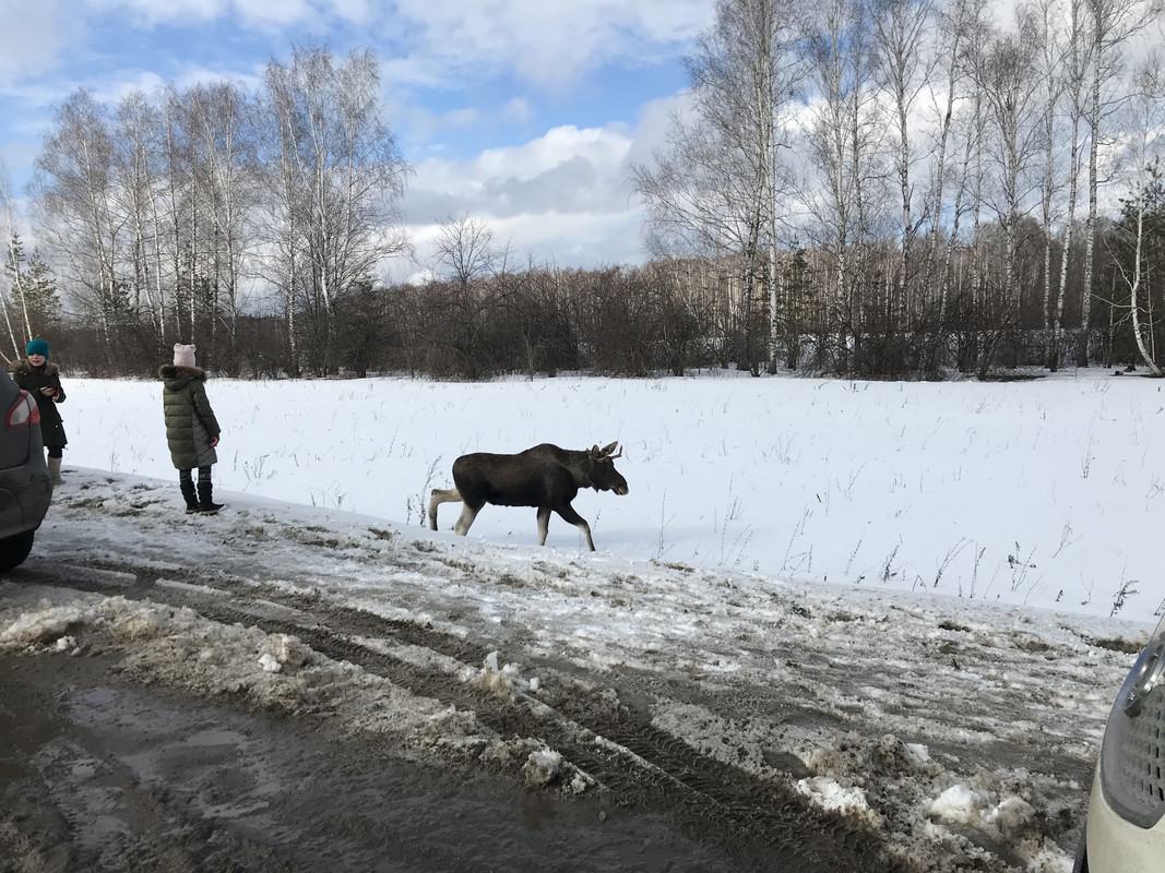 IMG 1941 — Postimages