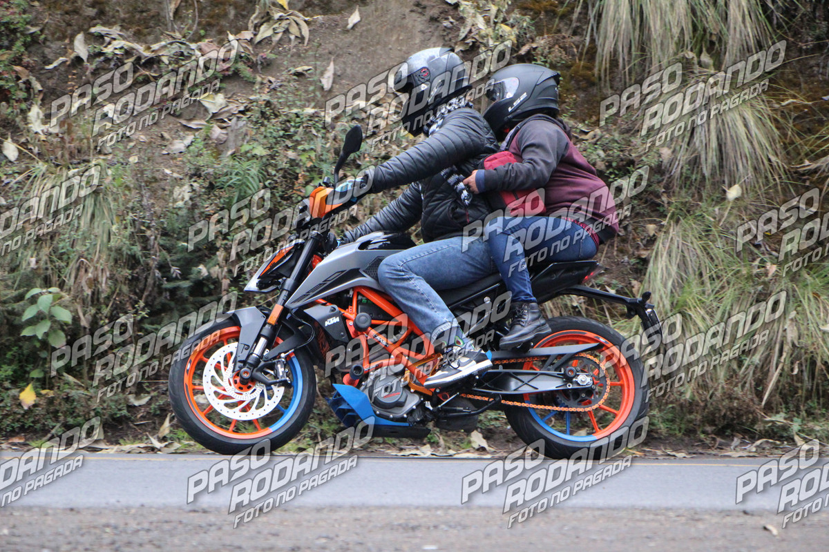 IMG 0502 wm 3773182 watermarked — Postimages