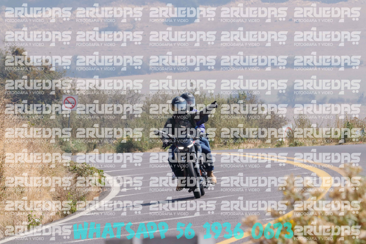 MG 0181 — Postimages