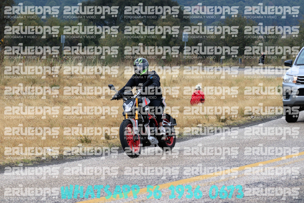 MG 0993 — Postimages