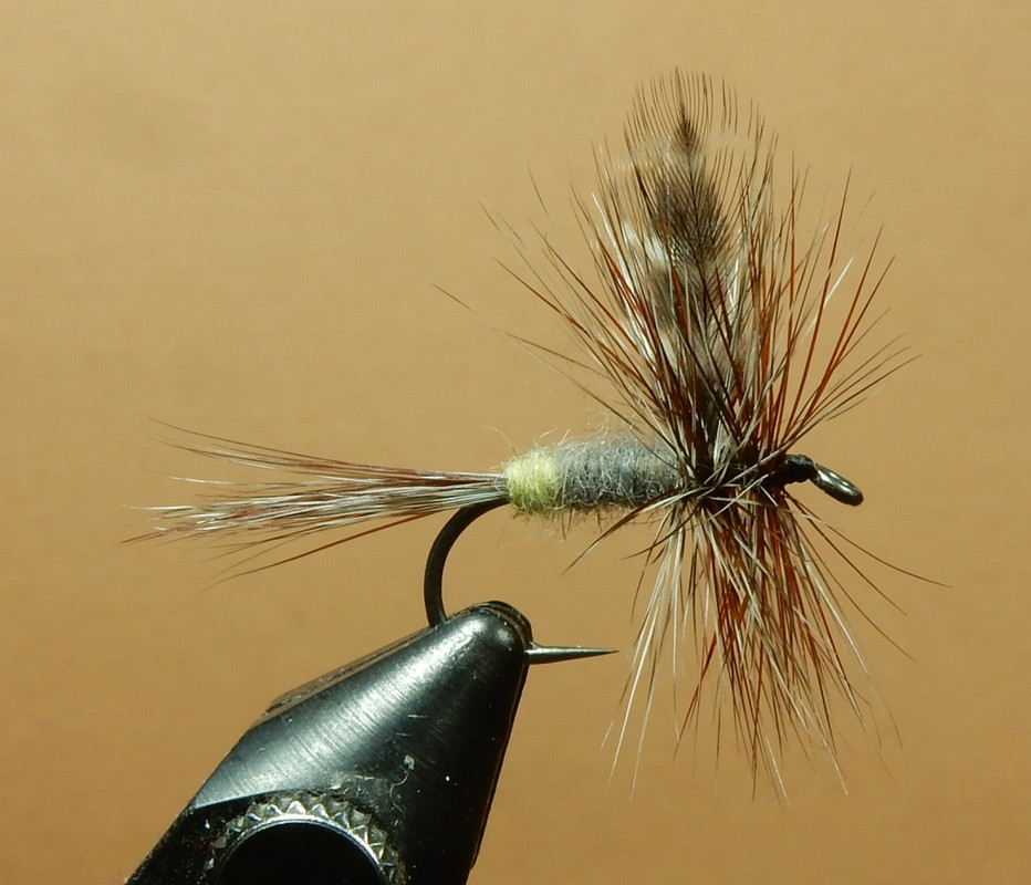 Adams - Female - Fly Tying - Maine Fly Fish
